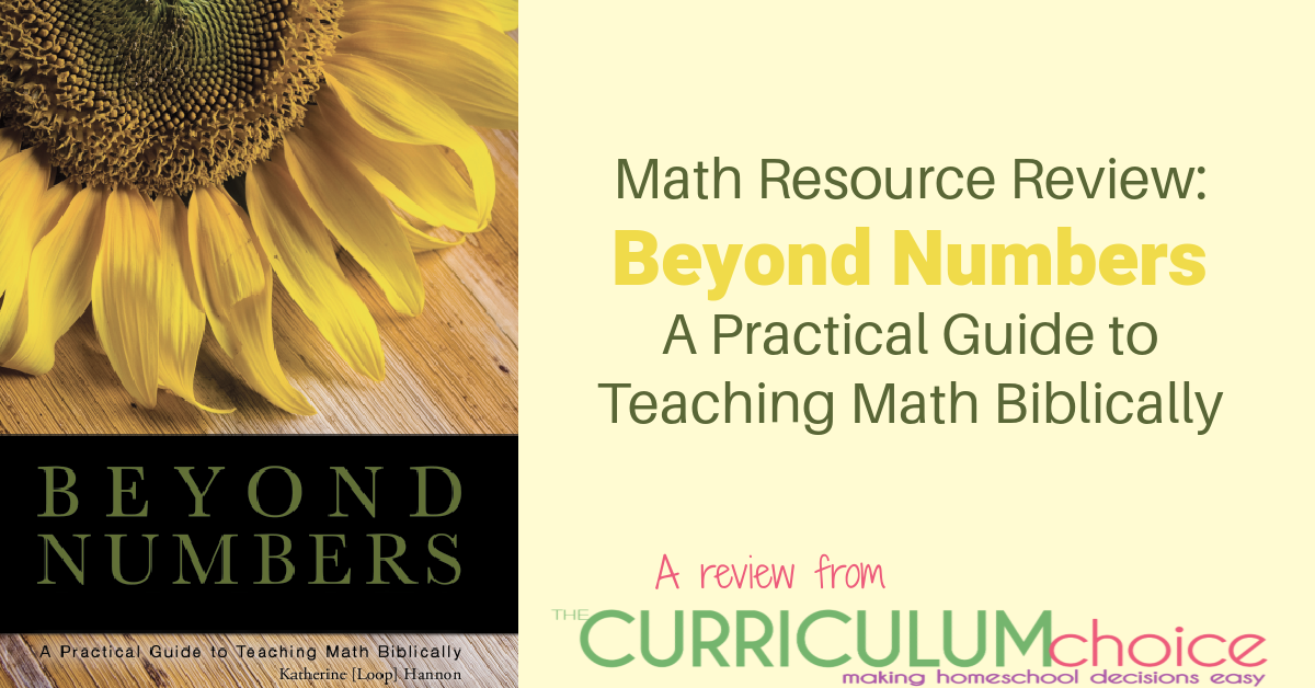 Homeschool Math Resource Review: Beyond Numbers - The Curriculum Choice