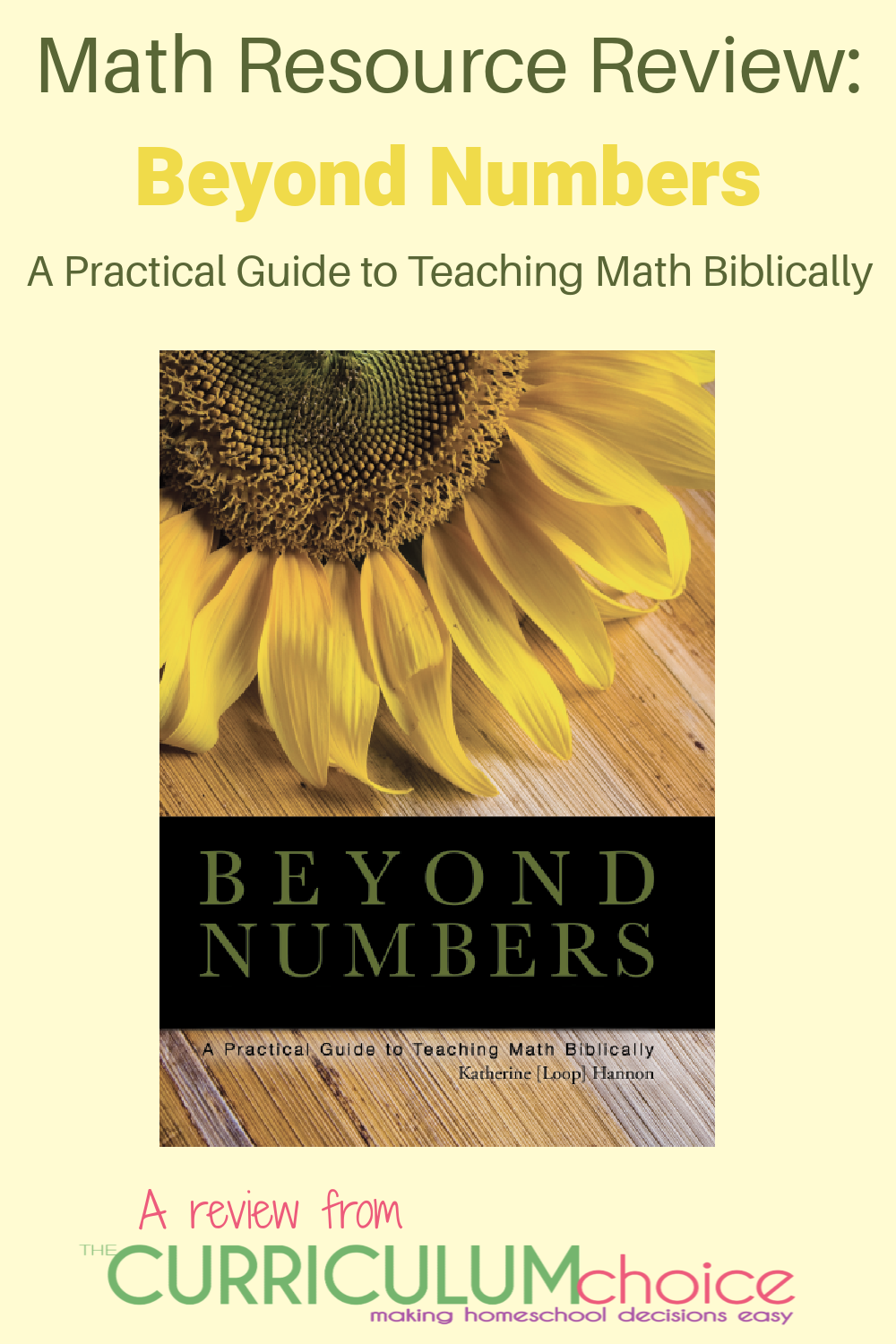 Homeschool Math Resource Review: Beyond Numbers - The Curriculum Choice