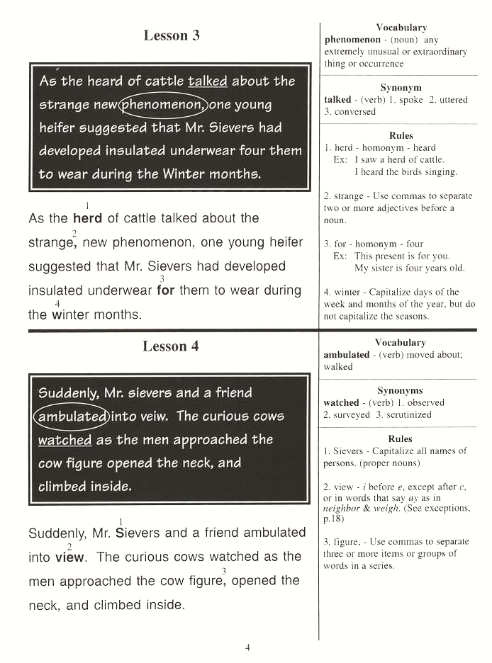 The Great Editing Adventure - The Curriculum Choice