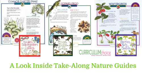Take-Along Nature Guides for Homeschool - The Curriculum Choice