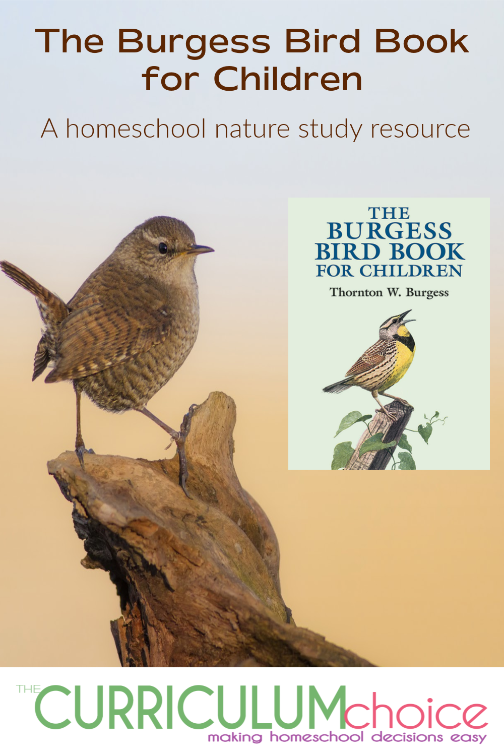 The Burgess Bird Book for Children - A Wonderful Homeschool Nature ...