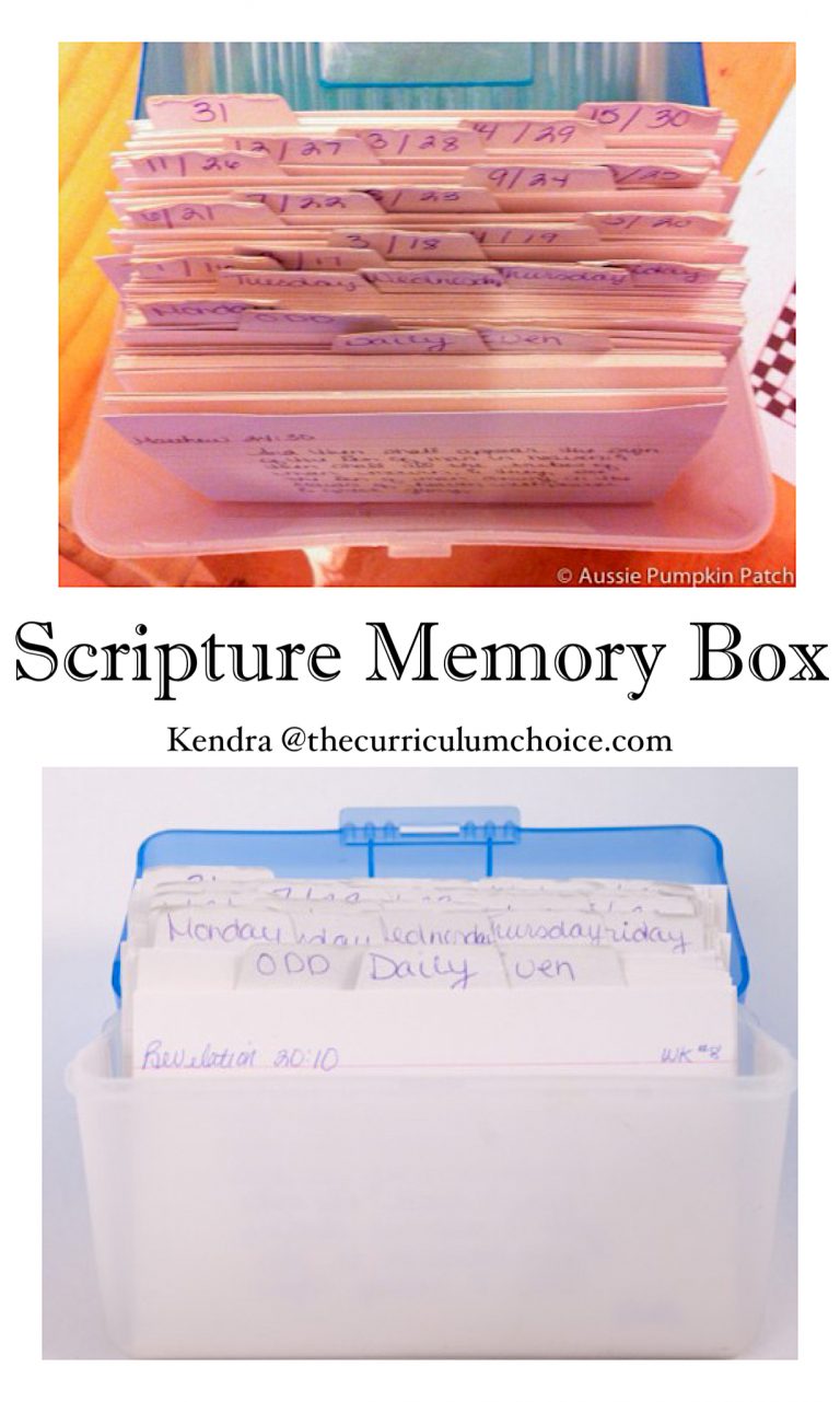 Scripture Memory Box - The Curriculum Choice