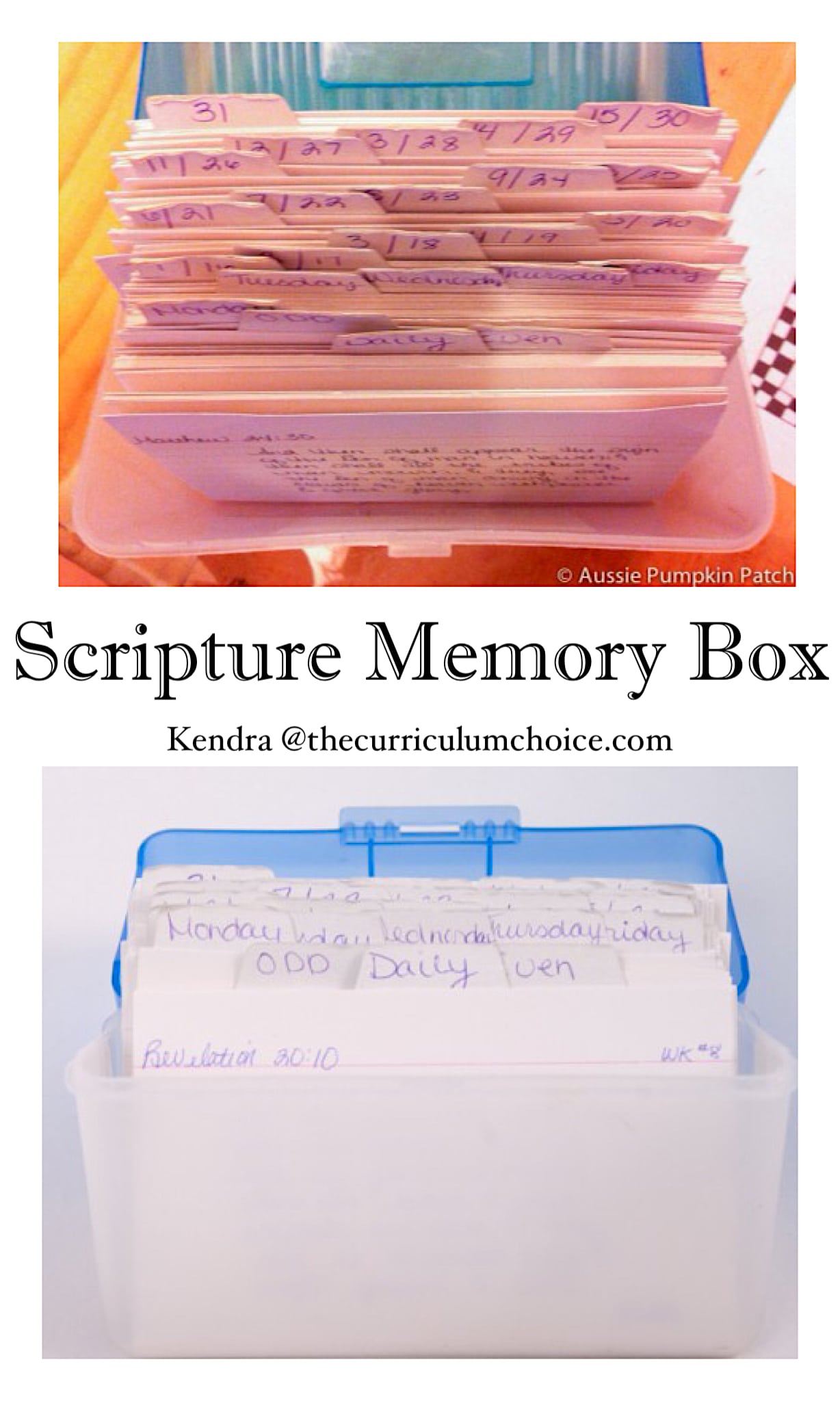 Scripture Memory Box - The Curriculum Choice