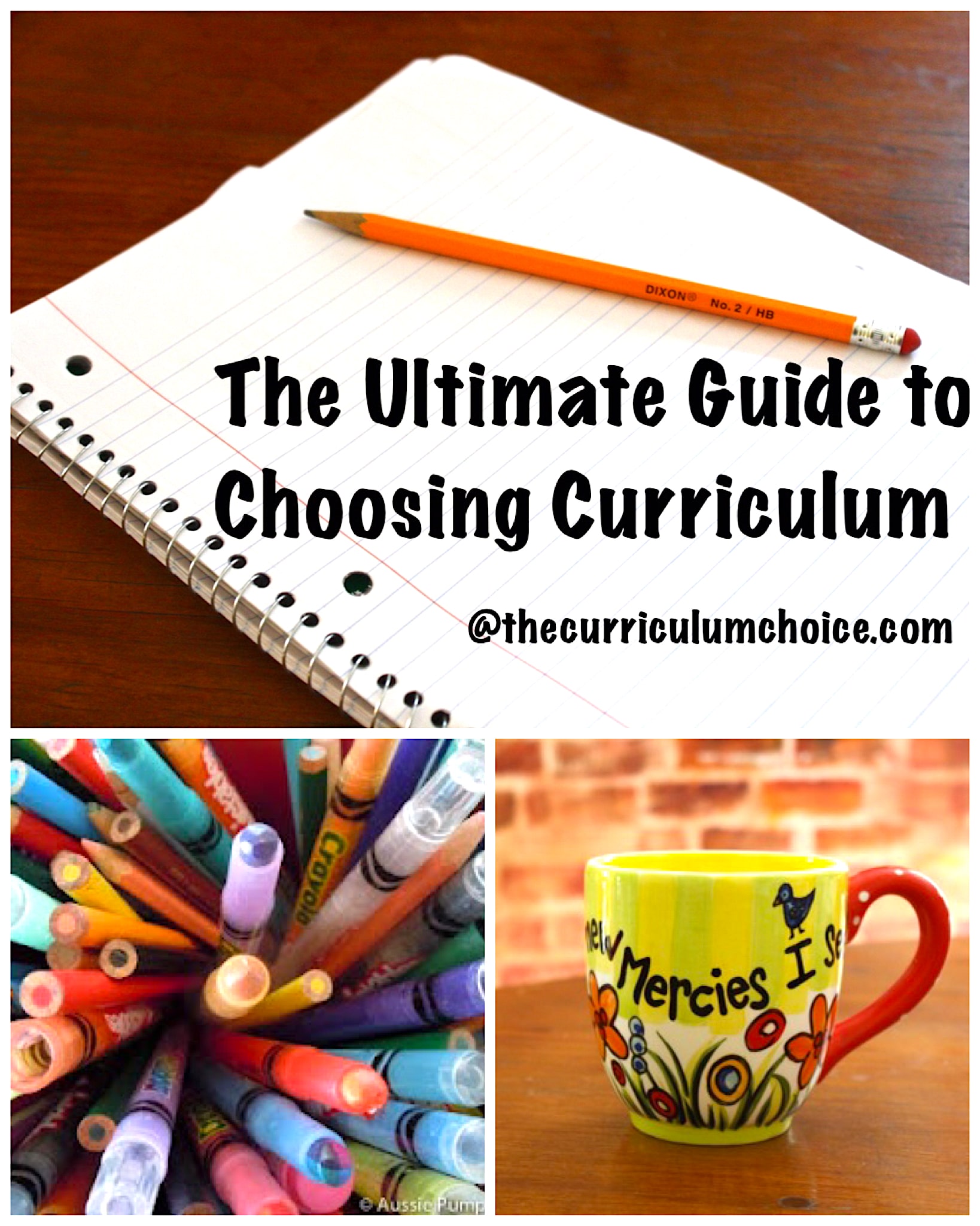 The Ultimate Guide To Choosing Homeschool Curriculum - The Curriculum ...