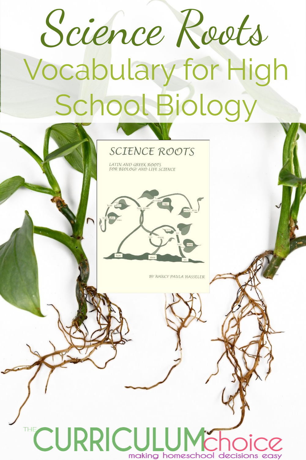 Science Roots : Vocabulary for High School Biology - The Curriculum Choice