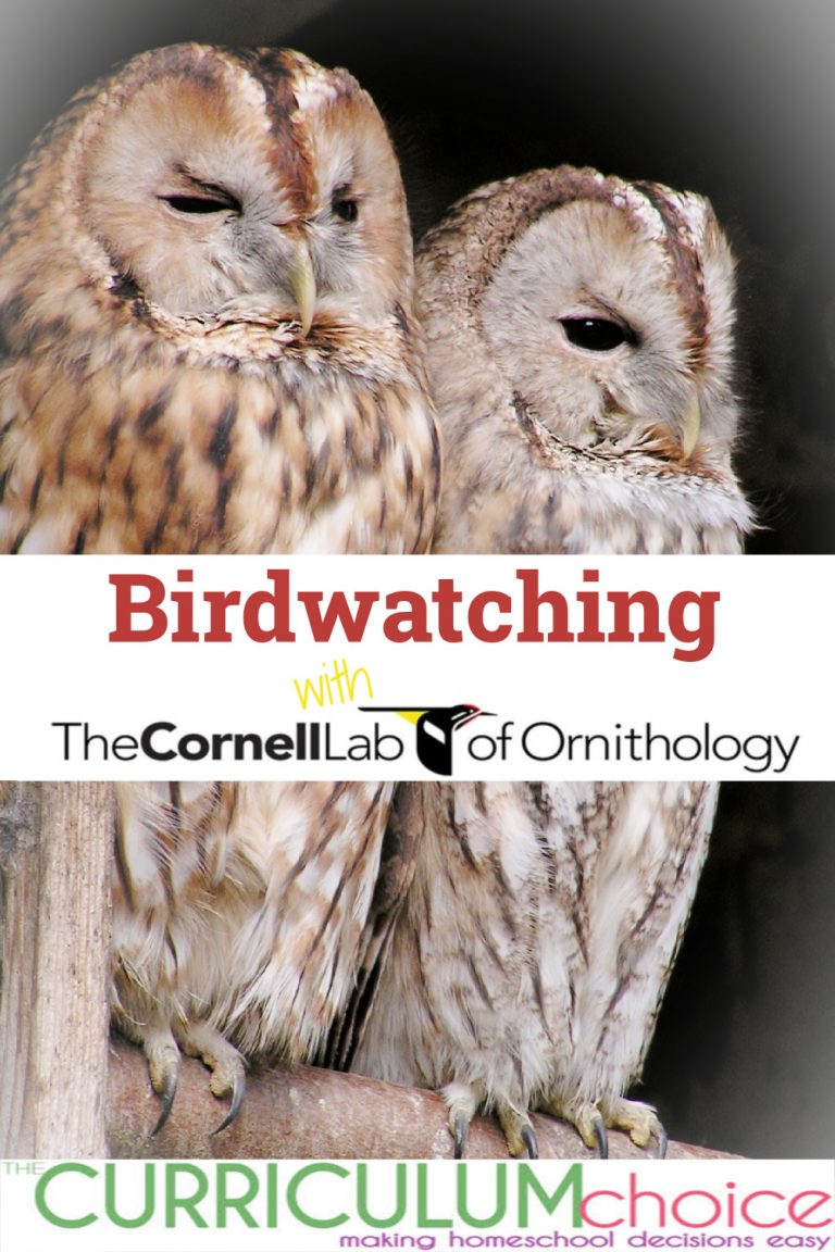 Birdwatching with Cornell Lab of Ornithology - The Curriculum Choice