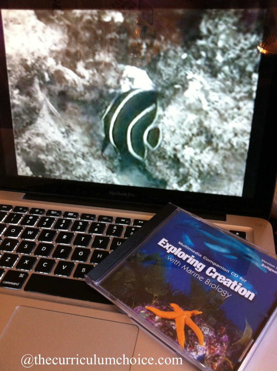 Apologia Exploring Creation with Marine Biology Review - The Curriculum ...