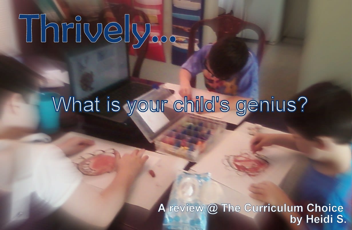 Thrively - What is Your Child's Genius? - The Curriculum Choice
