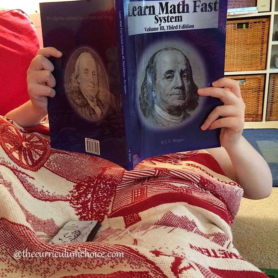 Learn Math Fast Review - The Curriculum Choice