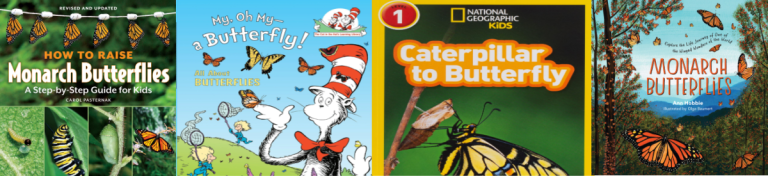 Homeschool Springtime Science: A Collection of Butterfly Resources ...