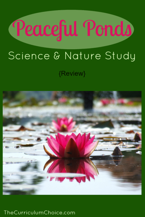 Peaceful Ponds Science & Nature Study {Review} - The Curriculum Choice