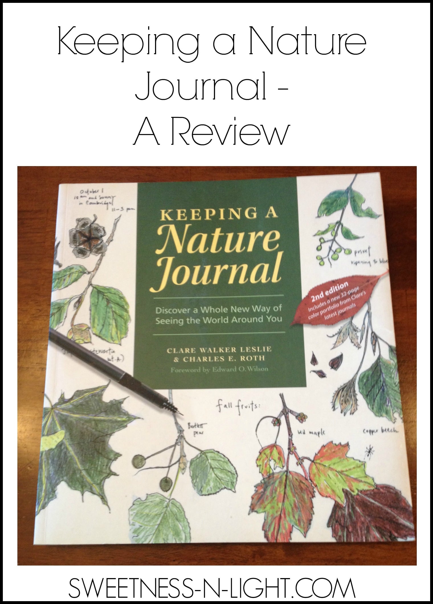 Keeping a Nature Journal - A Review - The Curriculum Choice Keeping a Nature Journal - A Review - The Curriculum Choice