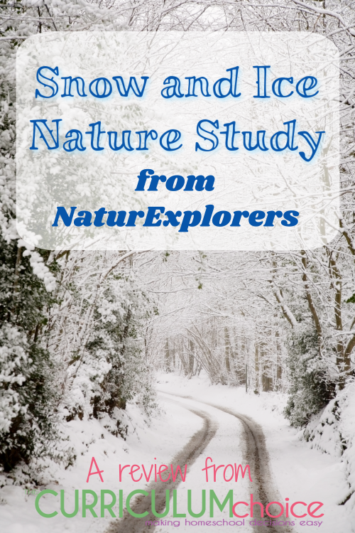 Snow and Ice Nature Study Review - The Curriculum Choice