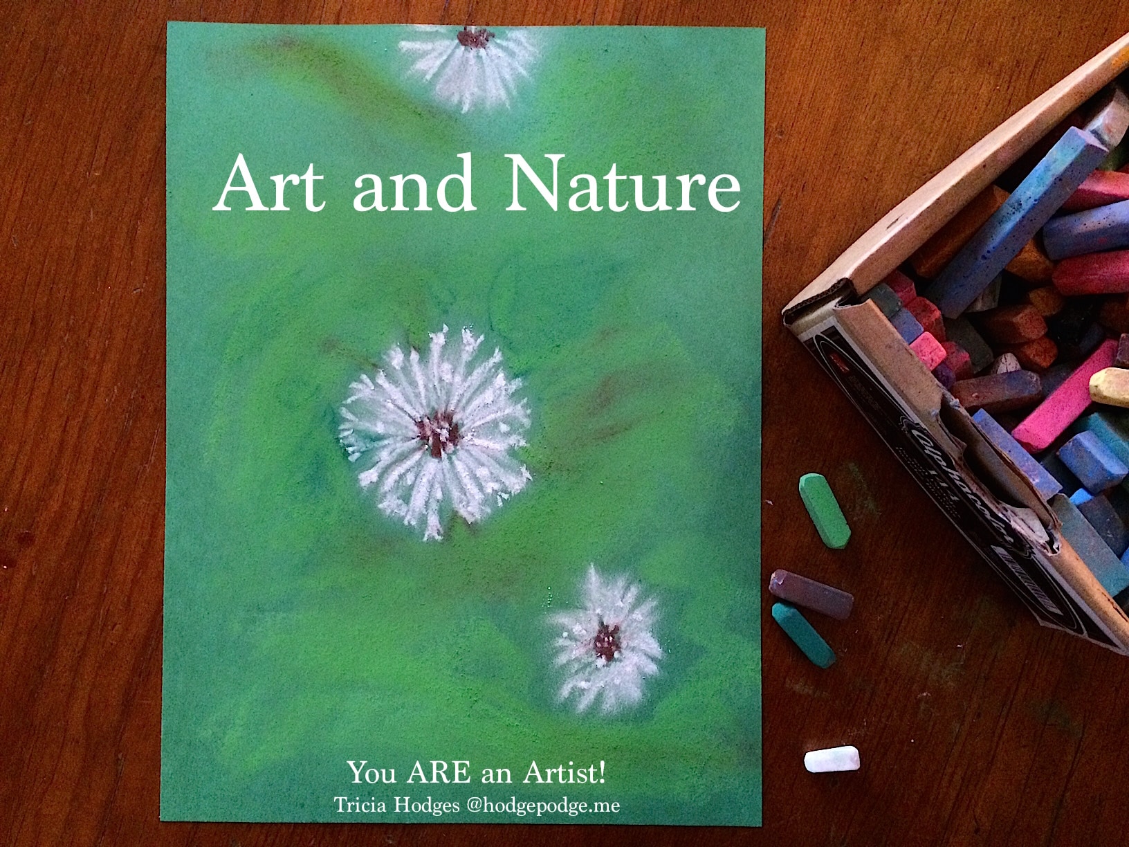 Our Favorite Homeschool Nature Study Resources - The Curriculum Choice