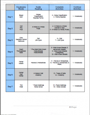In The Hands Of A Child :: Horses - The Curriculum Choice
