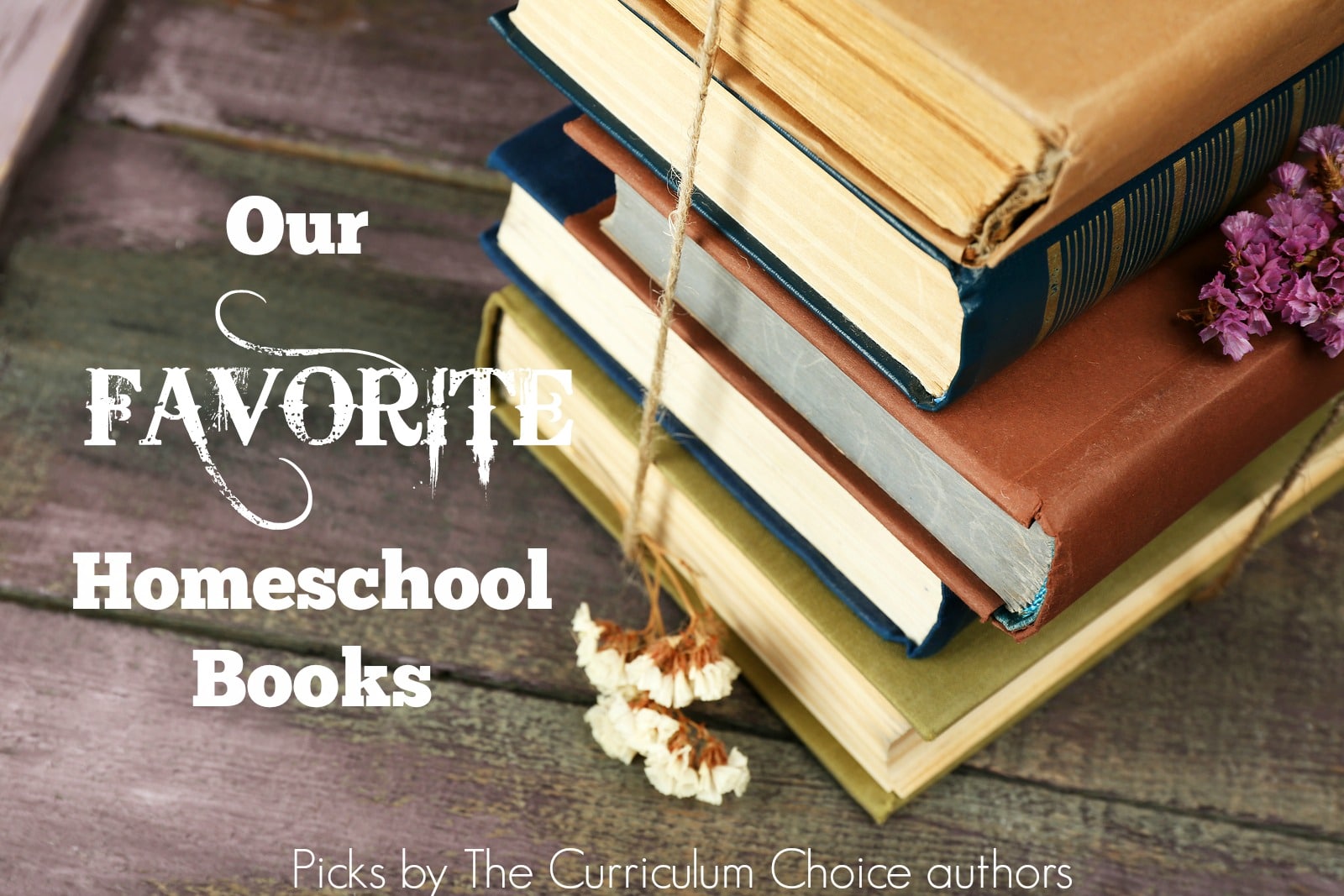 Our Favorite Homeschool Books - The Curriculum Choice