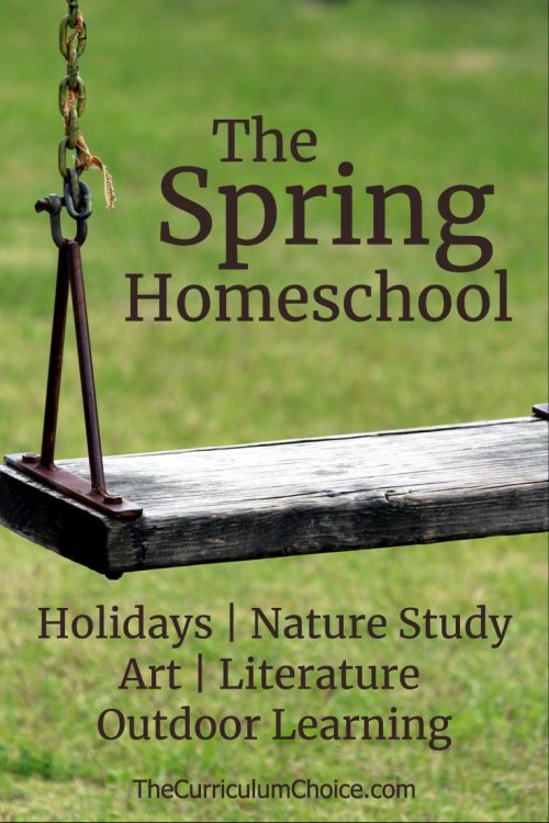 The Spring Homeschool - The Curriculum Choice