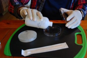 7 Fun Microscope Activities for Homeschool Elementary Students - The ...