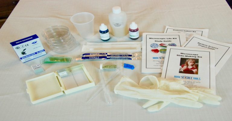 7 Fun Microscope Activities for Homeschool Elementary Students - The ...