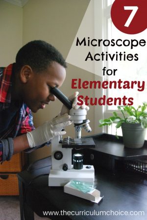 7 Fun Microscope Activities for Homeschool Elementary Students - The ...