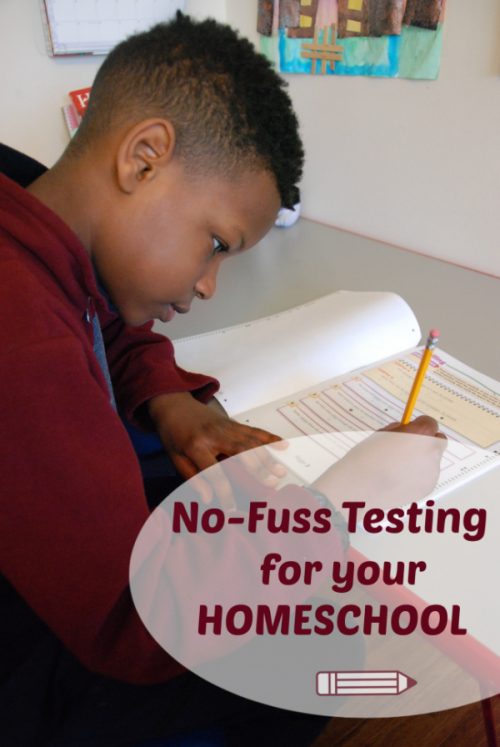 No-Fuss Standardized Testing for Your Homeschool - The Curriculum Choice