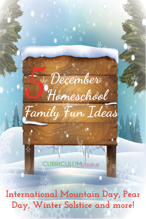 5 December Homeschool Family Fun Ideas - The Curriculum Choice