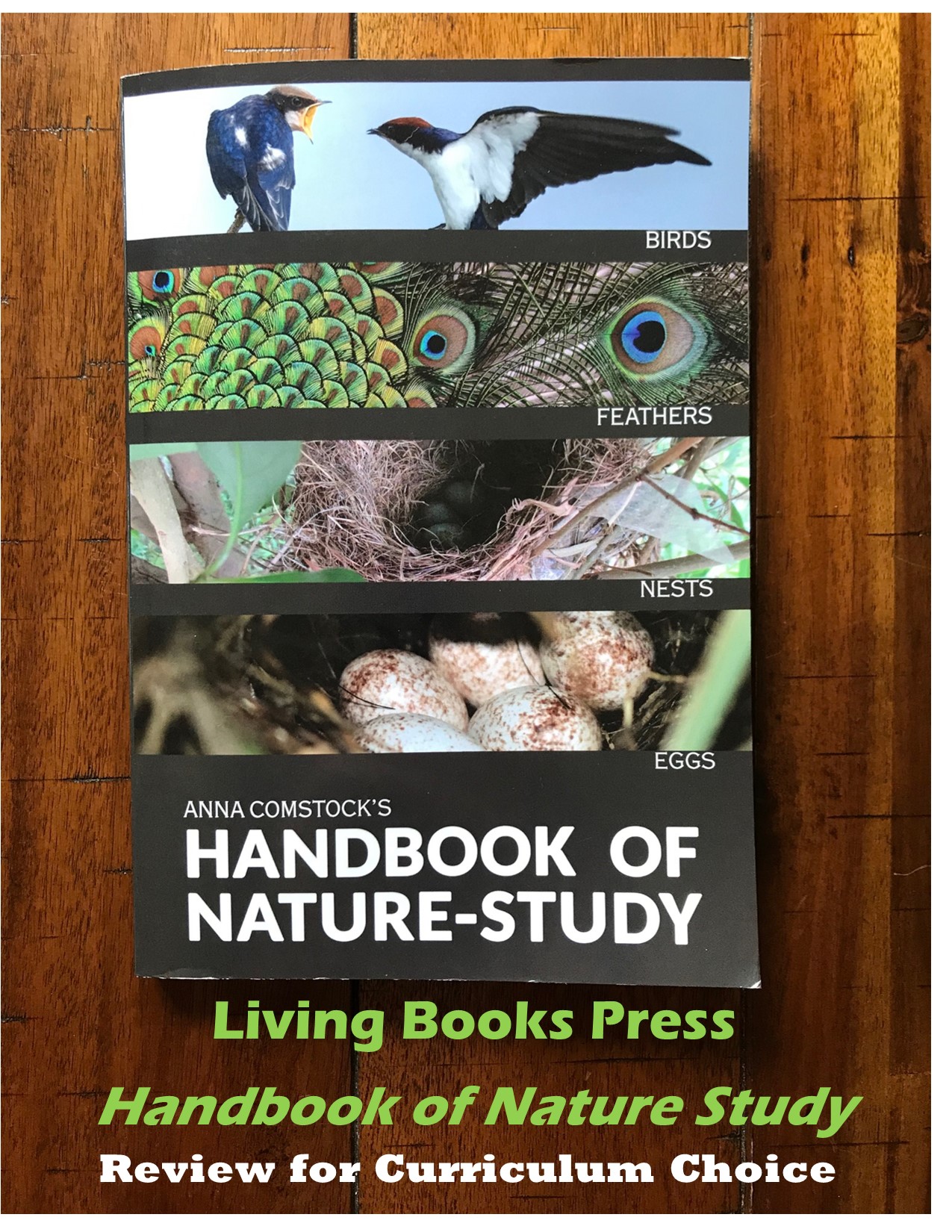 Living Book Press Handbook of Nature Study - Now in Full Color! - The ...