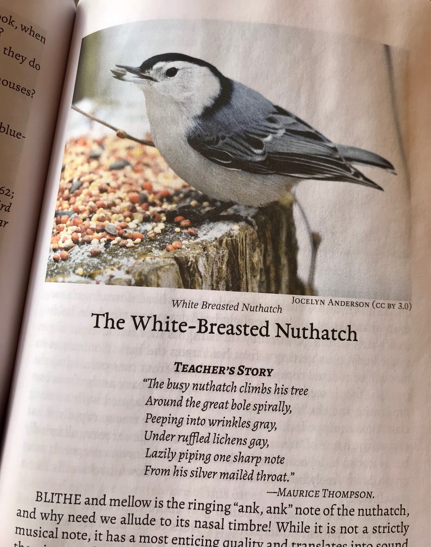 Living Book Press Handbook of Nature Study - Now in Full Color! - The ...