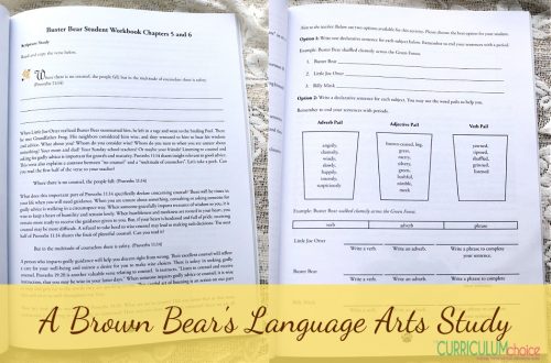A Brown Bear's Language Arts Study - The Curriculum Choice