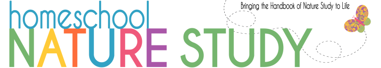 Typing Practice with TypeDojo - The Curriculum Choice