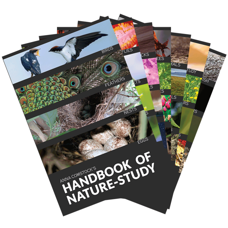 Everything You Wanted to Know About The Handbook of Nature Study for ...