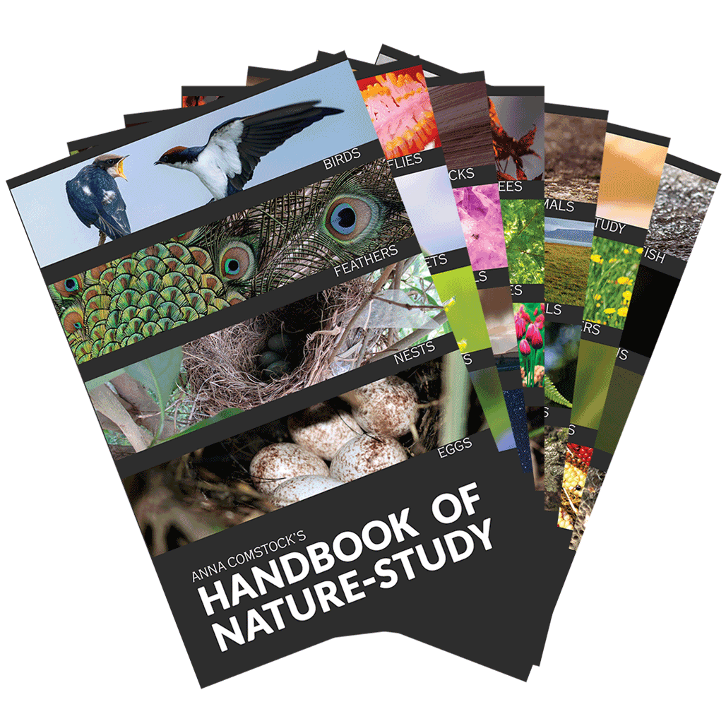 Everything You Wanted to Know About The Handbook of Nature Study for ...
