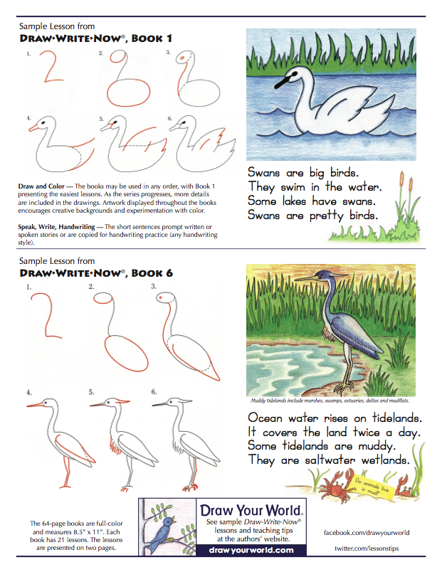 Using Draw Write Now Books for Homeschooling - The Curriculum Choice