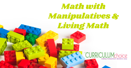 Making Homeschool Math Fun with Math Games! - The Curriculum Choice