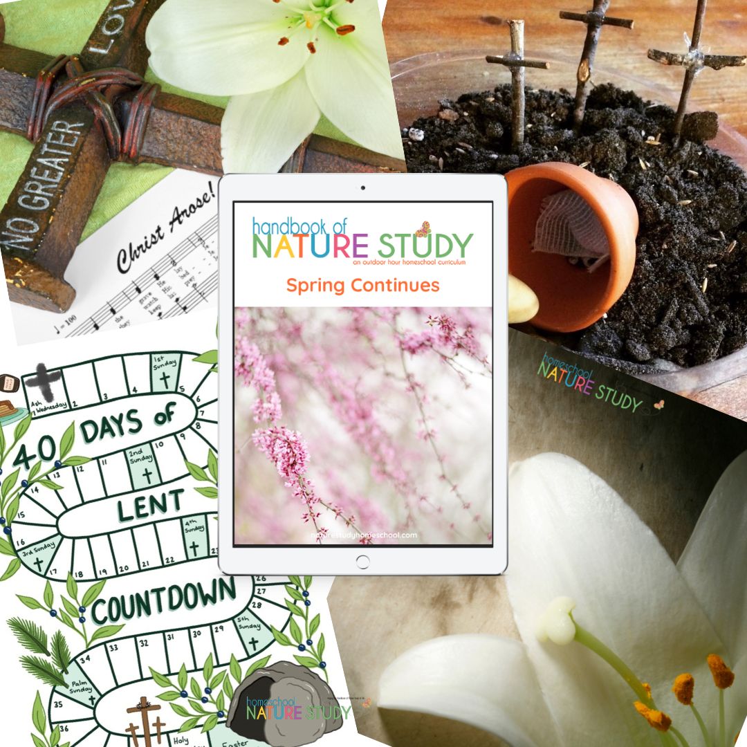 Lovely Homeschool Nature Studies for Easter - The Curriculum Choice