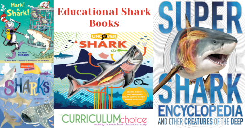 Super Snappy Shark Books To Celebrate Shark Week - The Curriculum Choice