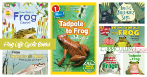 20 Tadpole to Frog Homeschool Resources Your Kids Will Love! - The ...