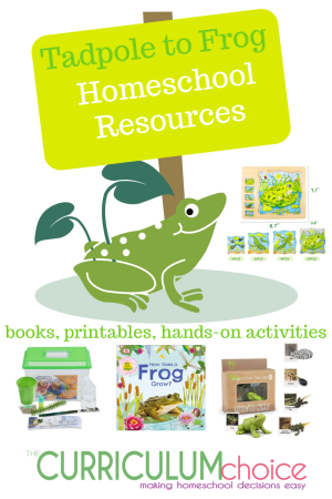 20 Tadpole to Frog Homeschool Resources Your Kids Will Love! - The ...
