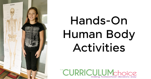30 Awesome Human Anatomy Resources for Homeschool Science - The ...