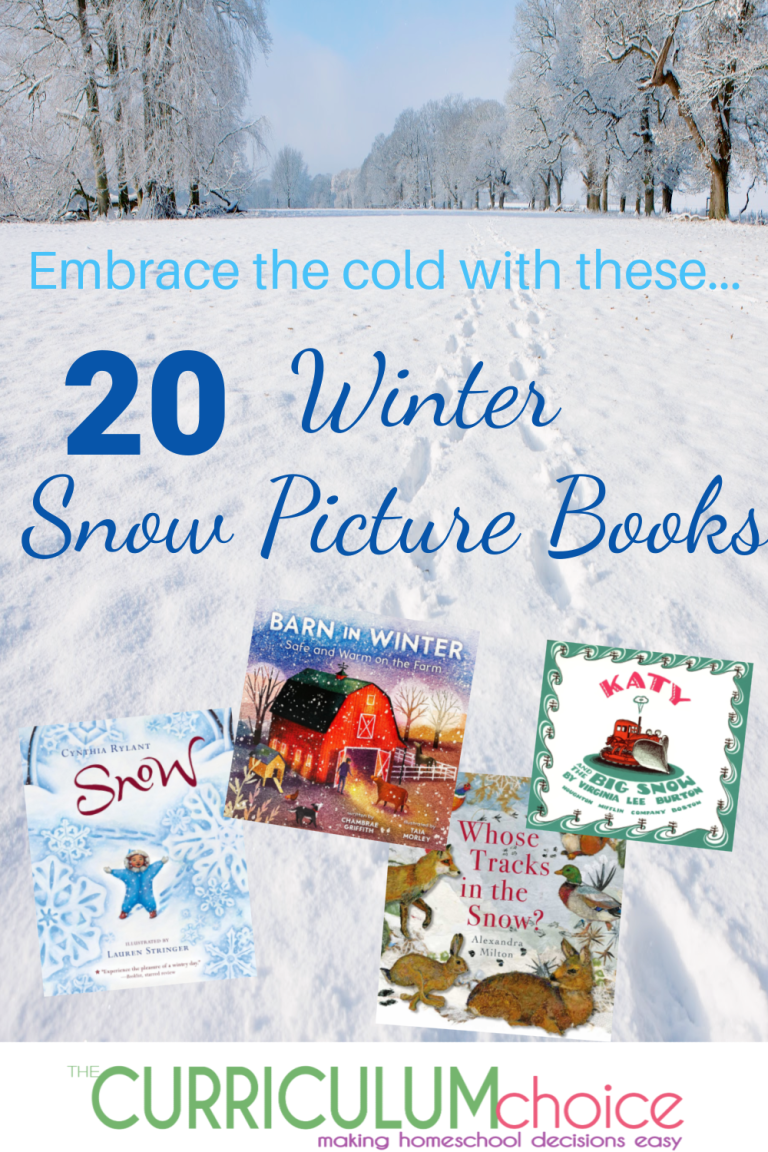 20 Winter Snow Picture Books: Embrace The Cold - The Curriculum Choice
