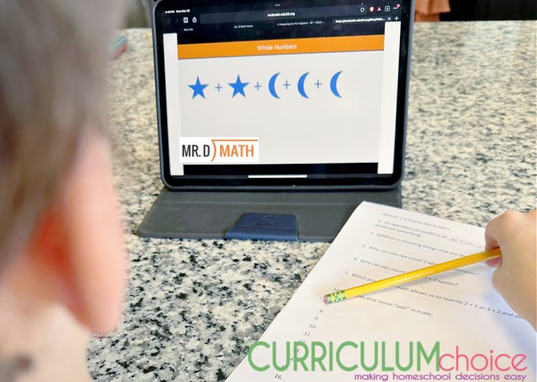 Preparing for Pre-Algebra with Gamified Mr. D Math - The Curriculum Choice