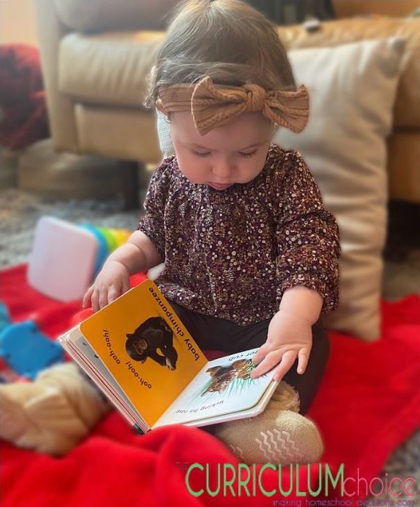 Preschool Books Themed By Every Month of the Year - The Curriculum Choice