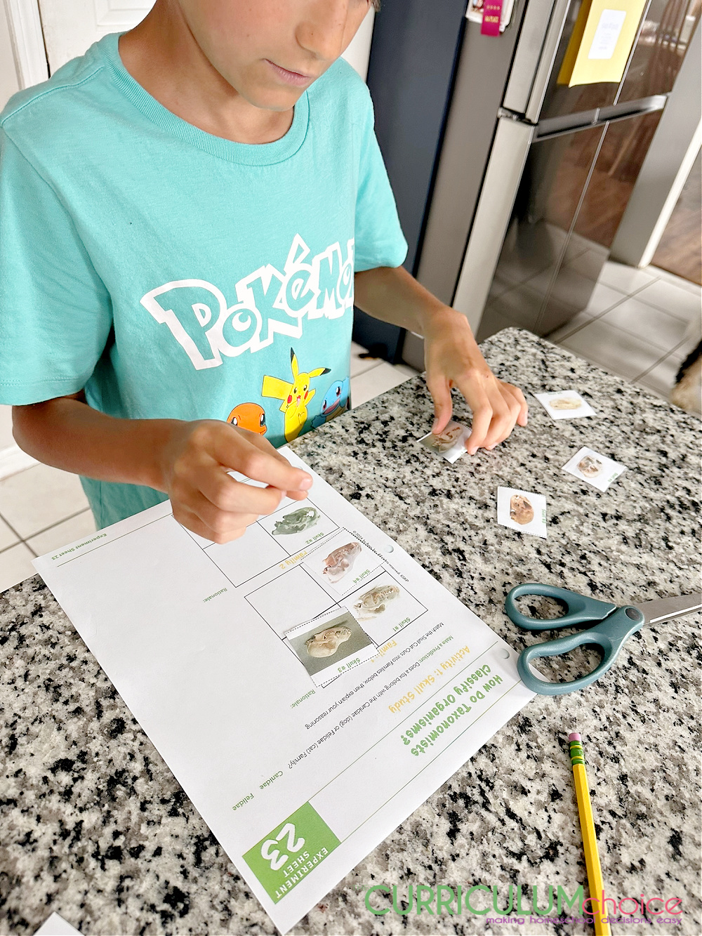Sonlight Discover & Do Science F: A Review - The Curriculum Choice